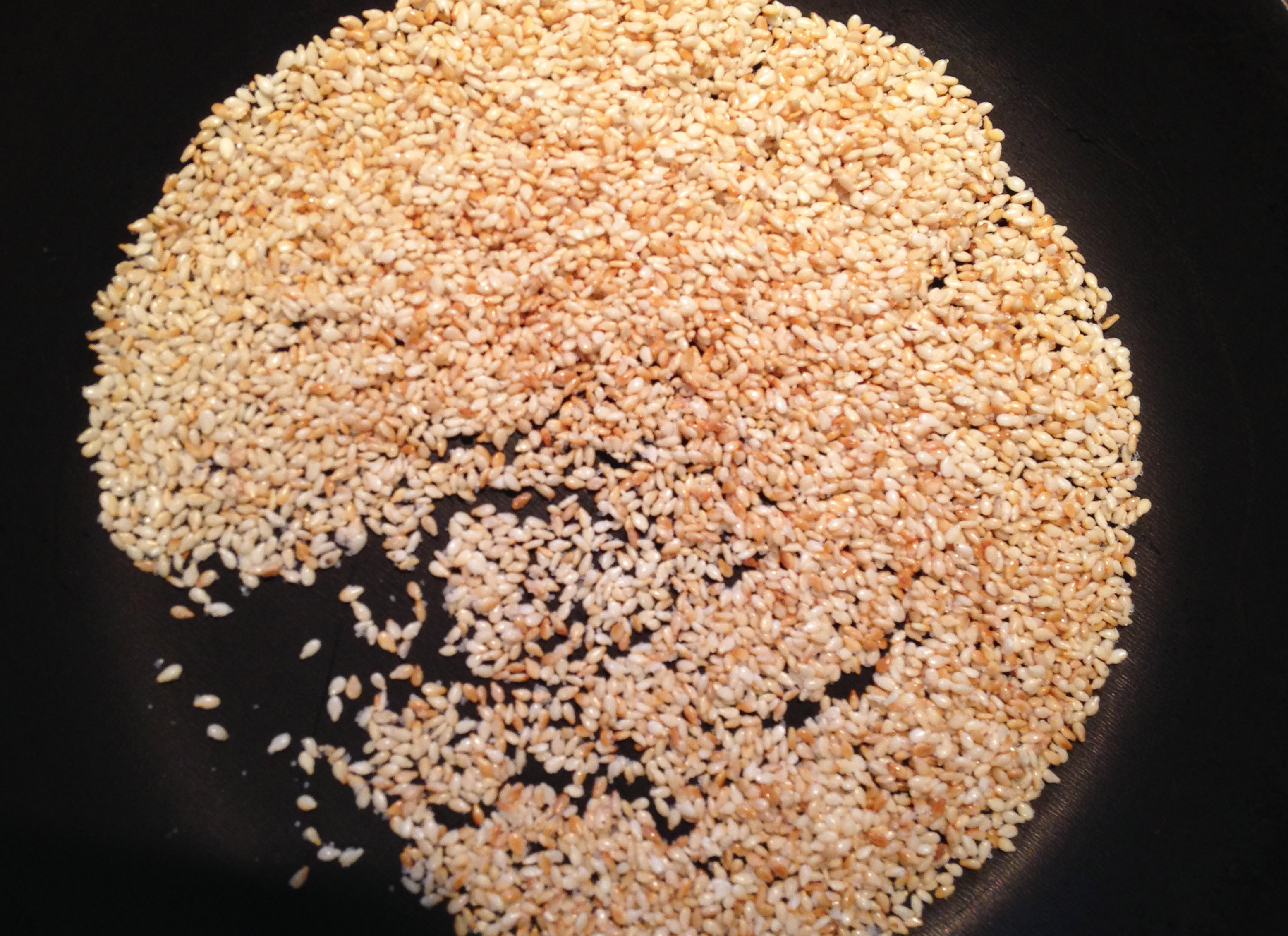 cezame – Bird of passage america